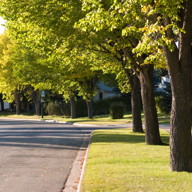 The City of Fargo - City Commission Wrap-Up - August 19, 2024