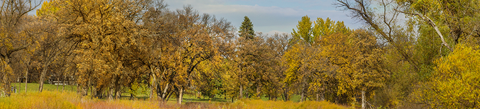 The City of Fargo - The City of Fargo's Departments